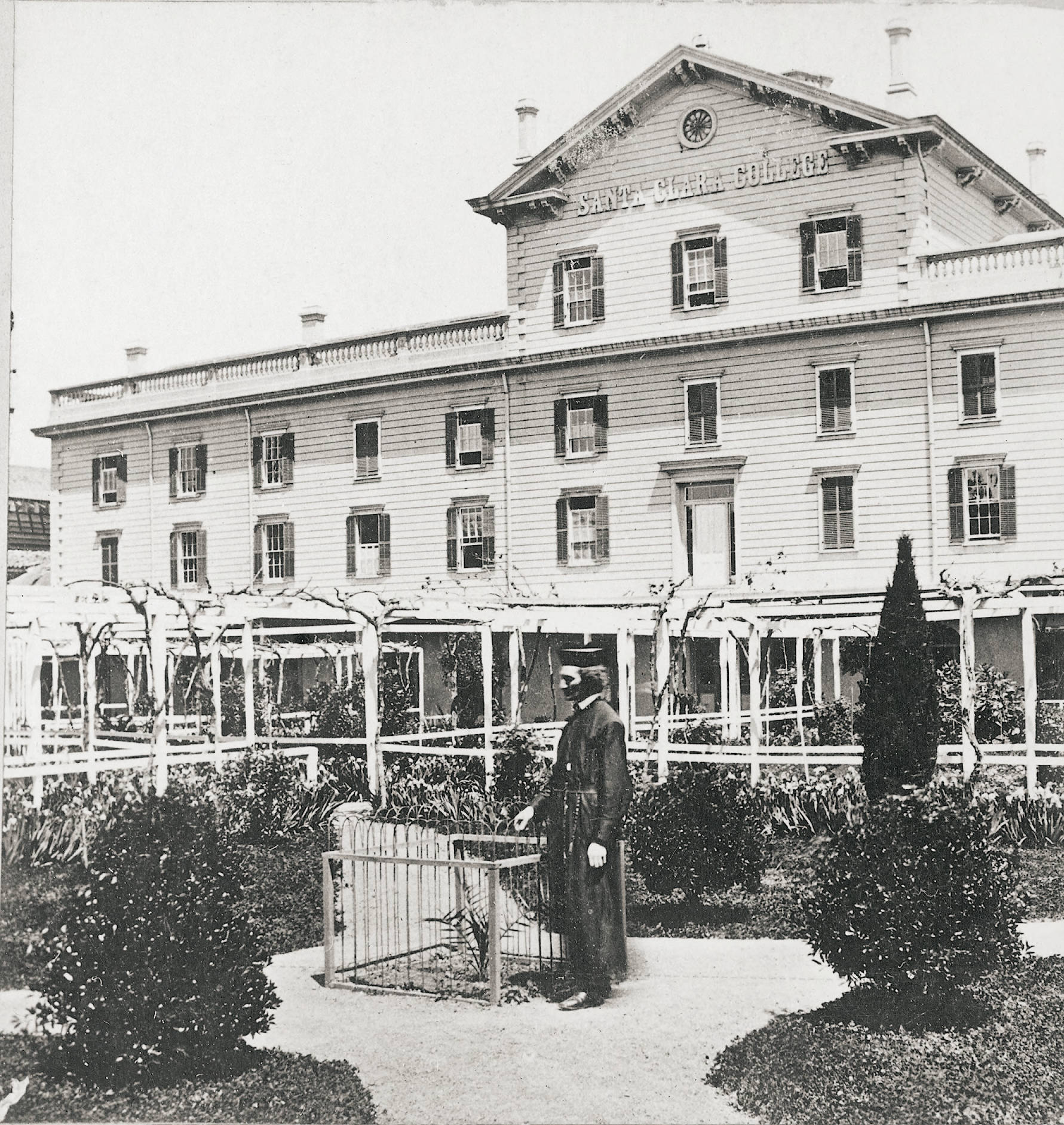 Campus rumors: What about those palm trees? – Arthur's Attic