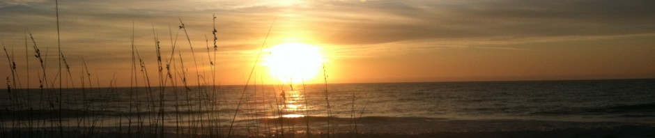 Perspective | Elizabeth Sherwin