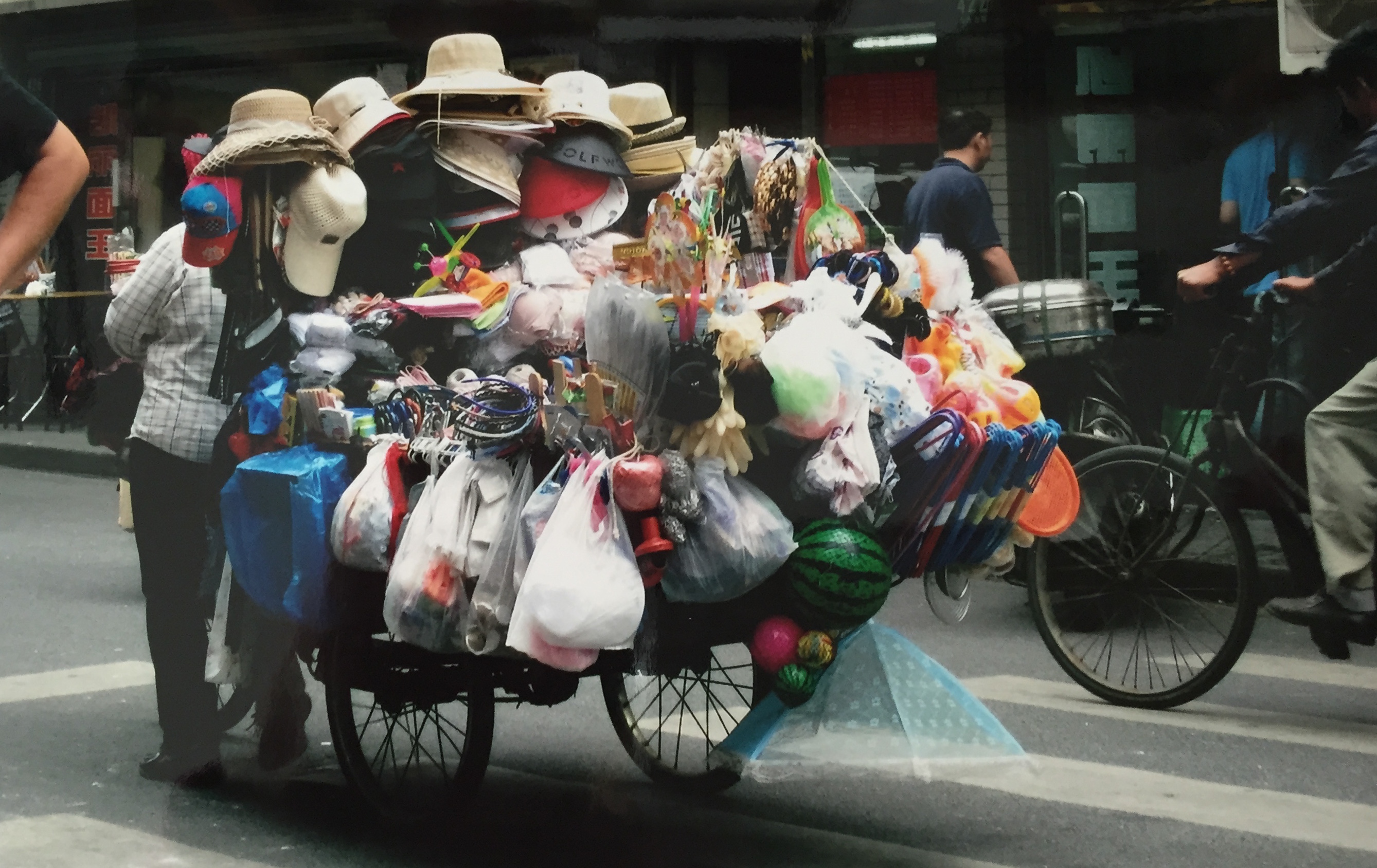Lessons from The Cart Lady | Global Social Benefit Fellowship 2015