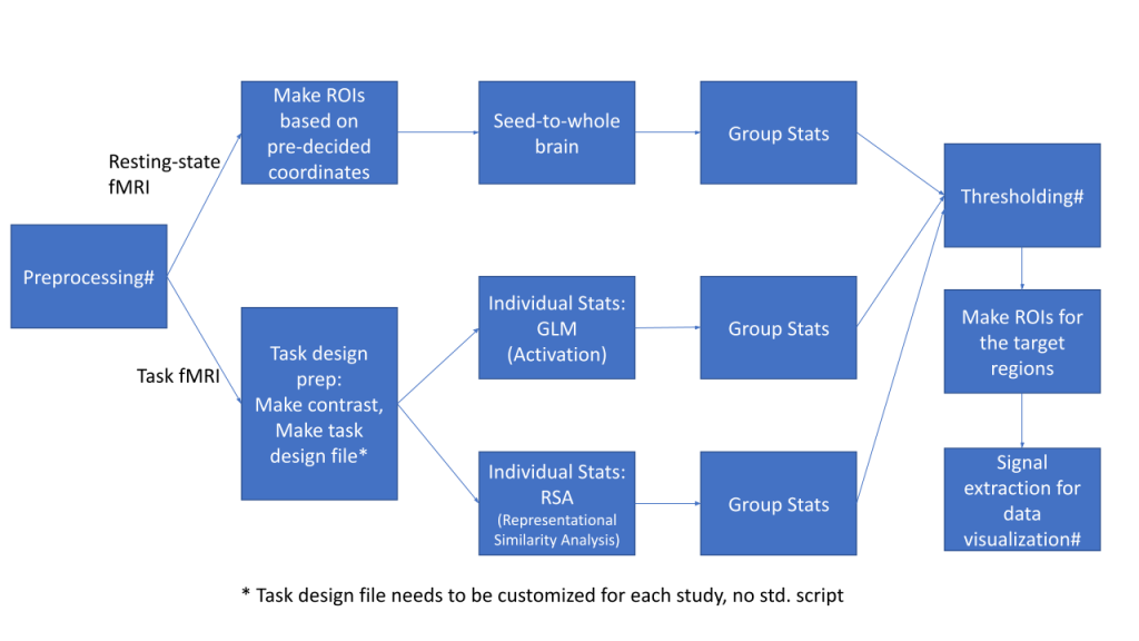 Tutorials – Lab of Cognitive and Computational Neuroscience