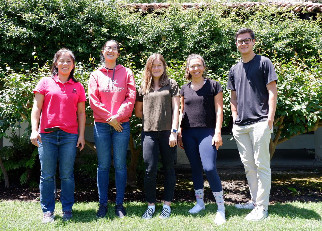 Welcome page | The Stokes Lab @ SCU